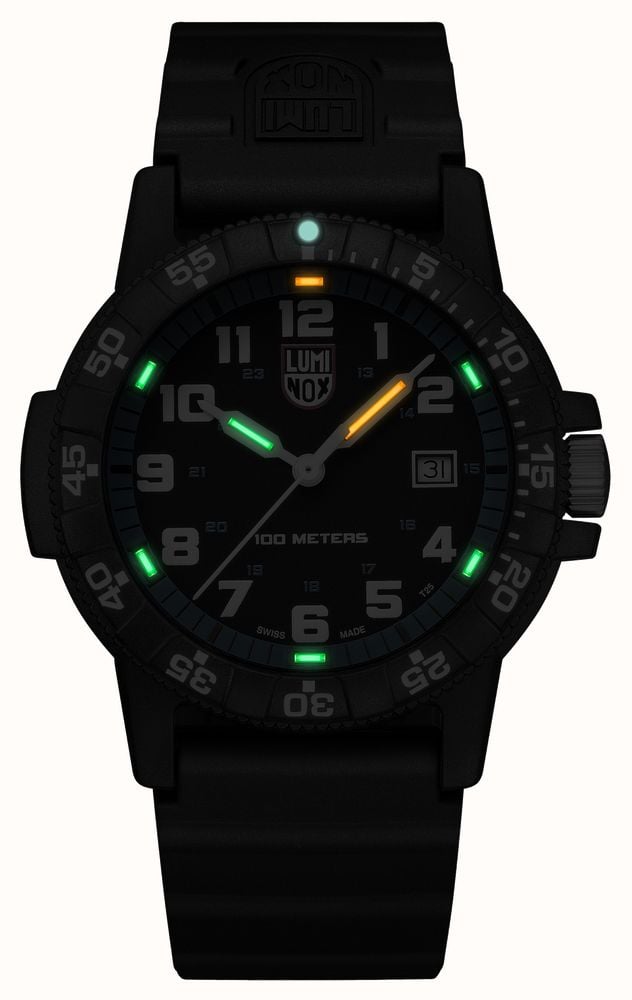 Luminox Sea Turtle Giant 0320 Series | Blue Bezel | Black Strap XS.0324 ...